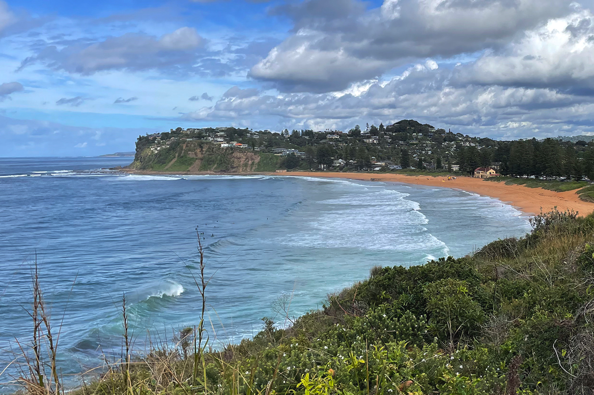 Northern Beaches - Betina King